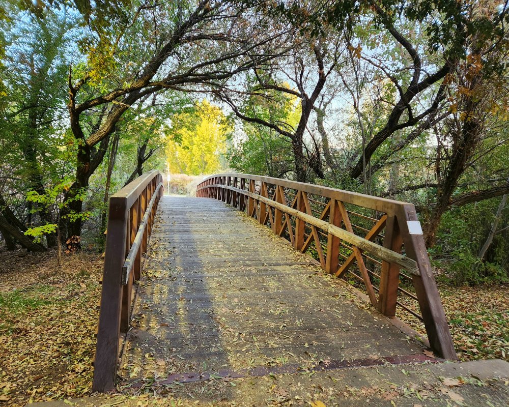 Colorful autumn footbridge surrounded by trees and fallen leaves | Deep ...