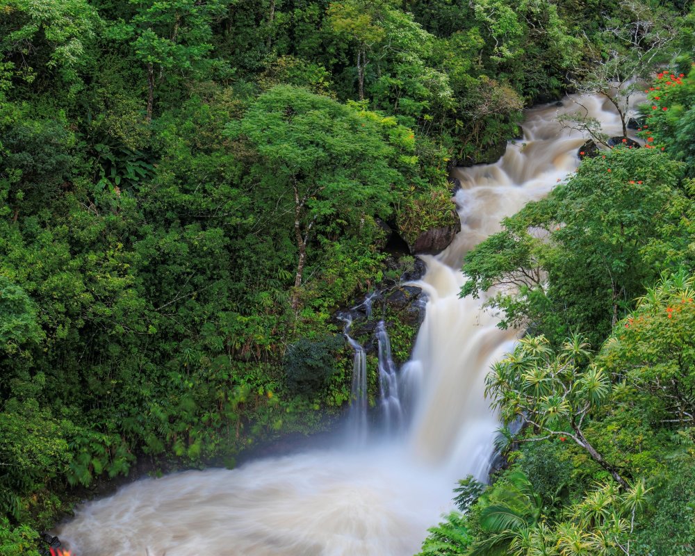 Waterfall and Lush Vegetation | Deep Dream Generator